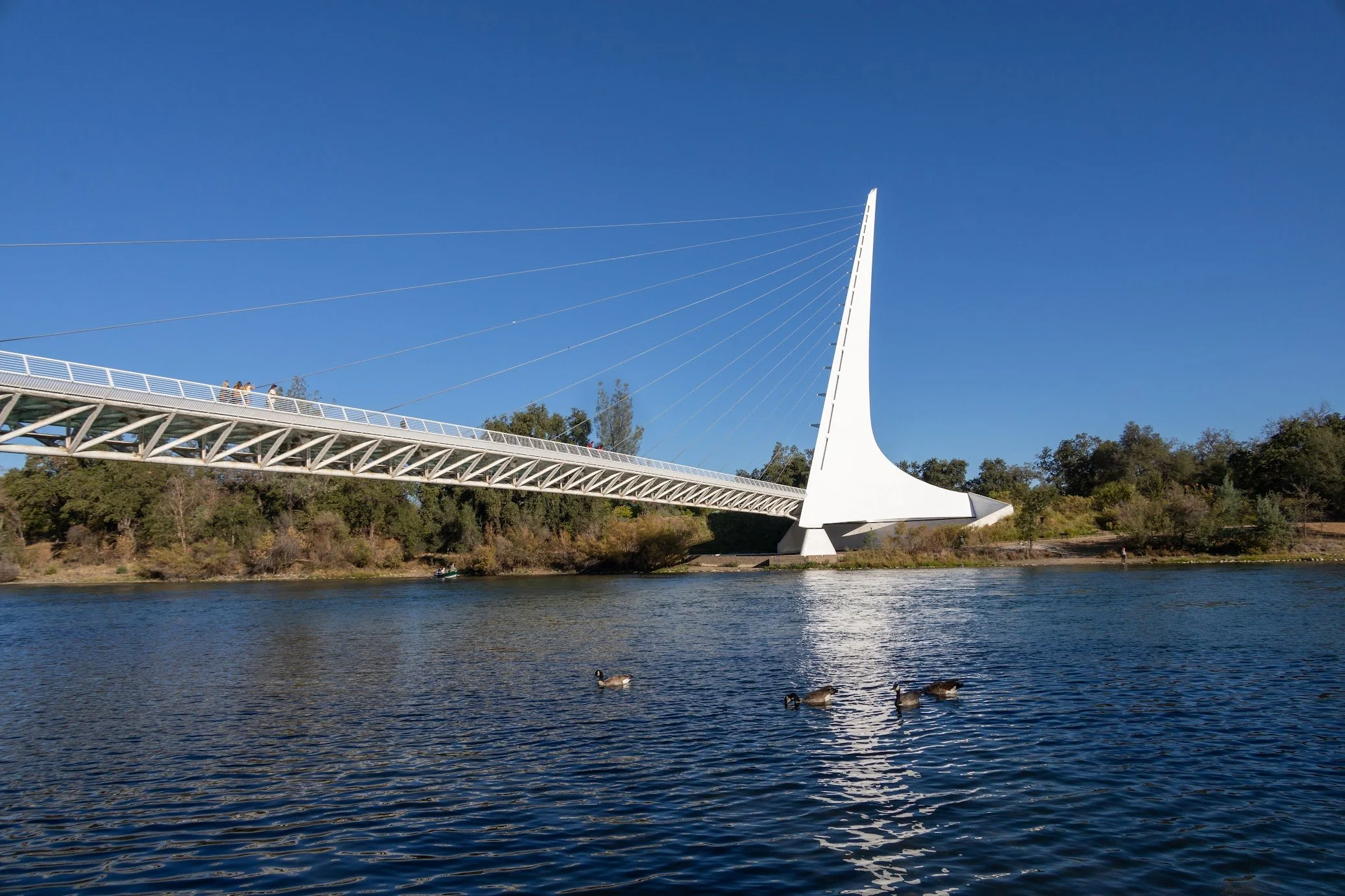 Sundial Bridge Wallpaper