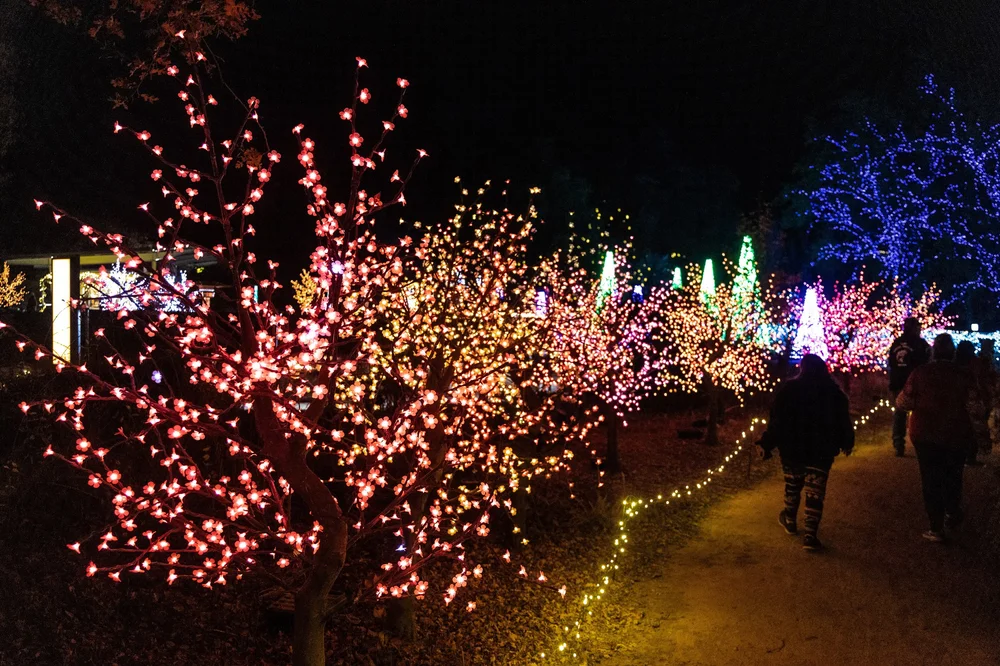 Holiday Activities: Redding Garden of Lights and New Year's Eve Party — Turtle Bay