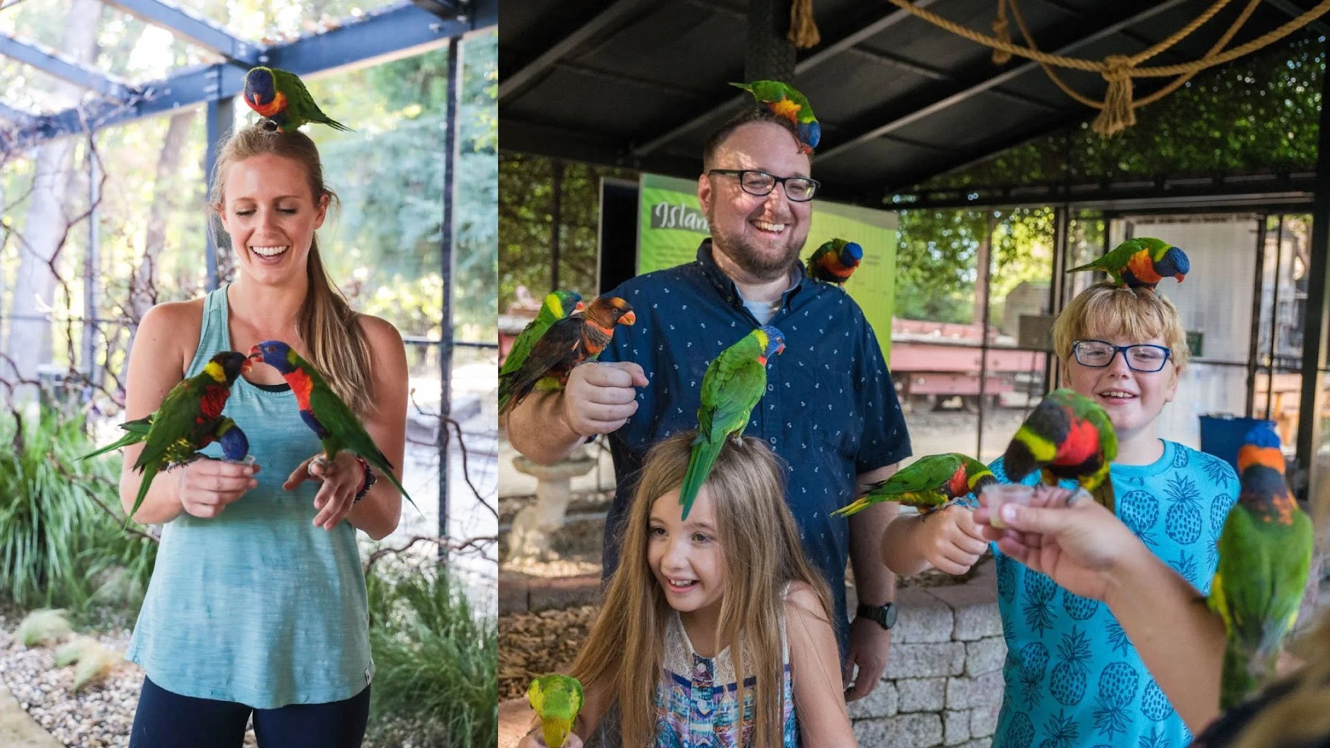 Animal Exhibits & Programs — Turtle Bay