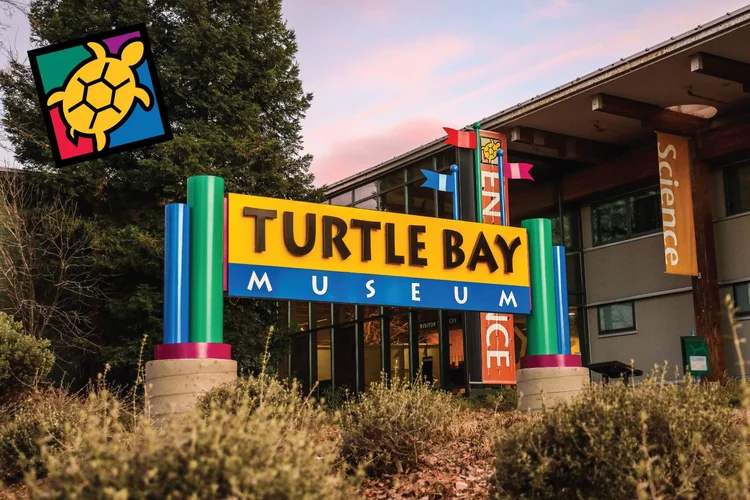 Turtle Bay