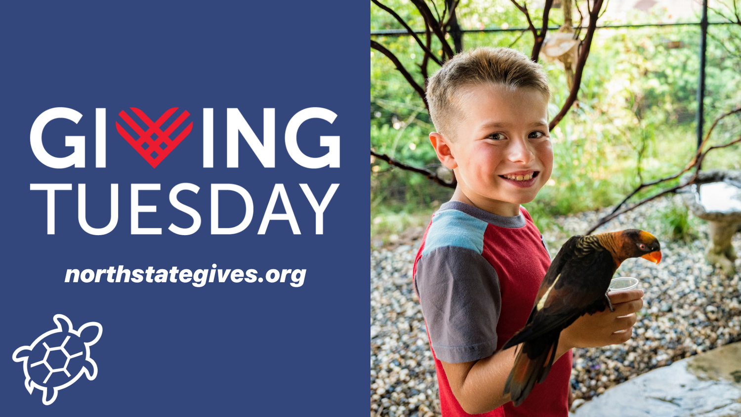 Donate to Turtle Bay this Giving Tuesday — Turtle Bay