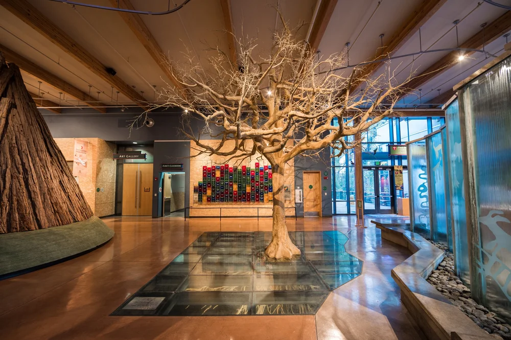 Turtle Bay: 20 Years and Counting — Turtle Bay