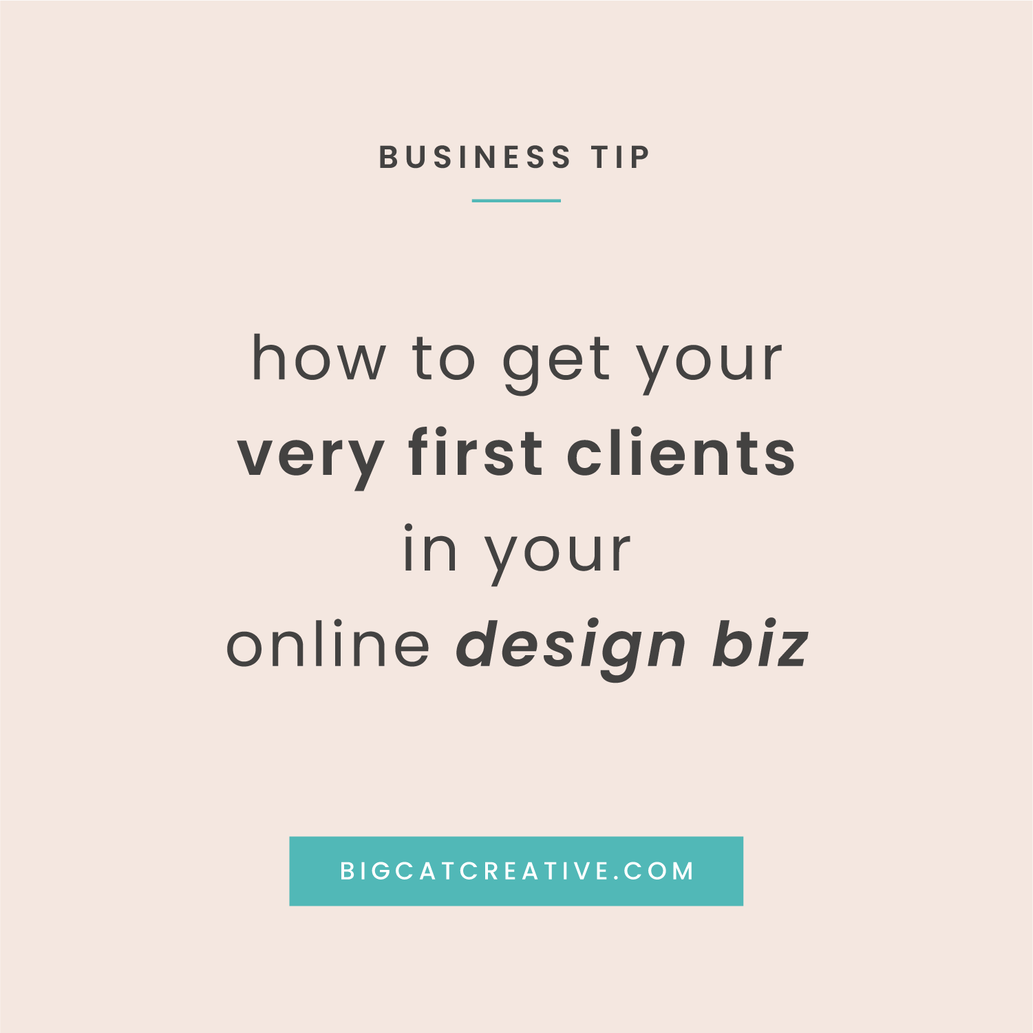 How to Get Your Very First Clients in Your Online Design Biz — Big Cat ...