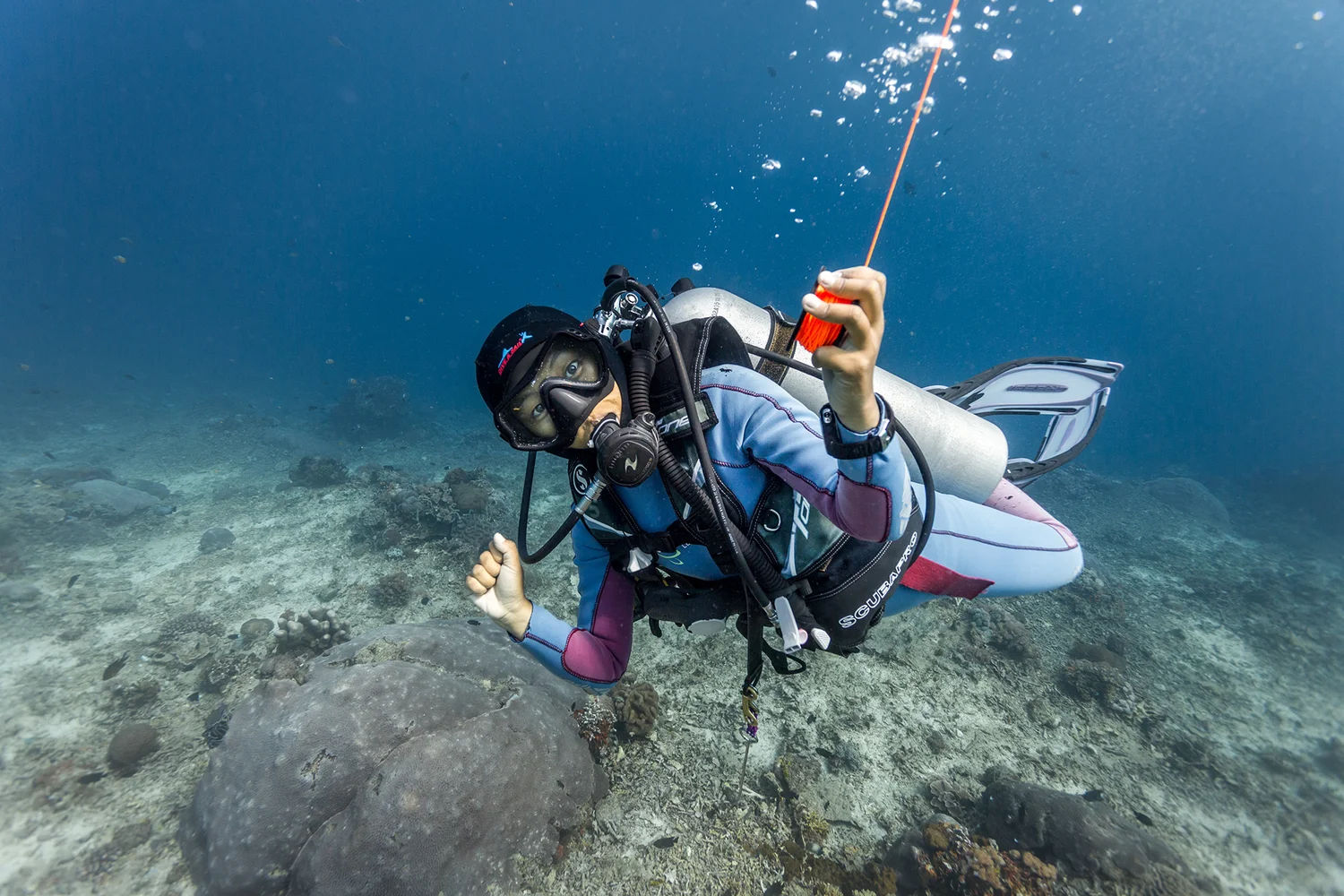 PADI Scuba Diving Nusa Lembongan & Nusa Penida — Blue Corner Dive ...