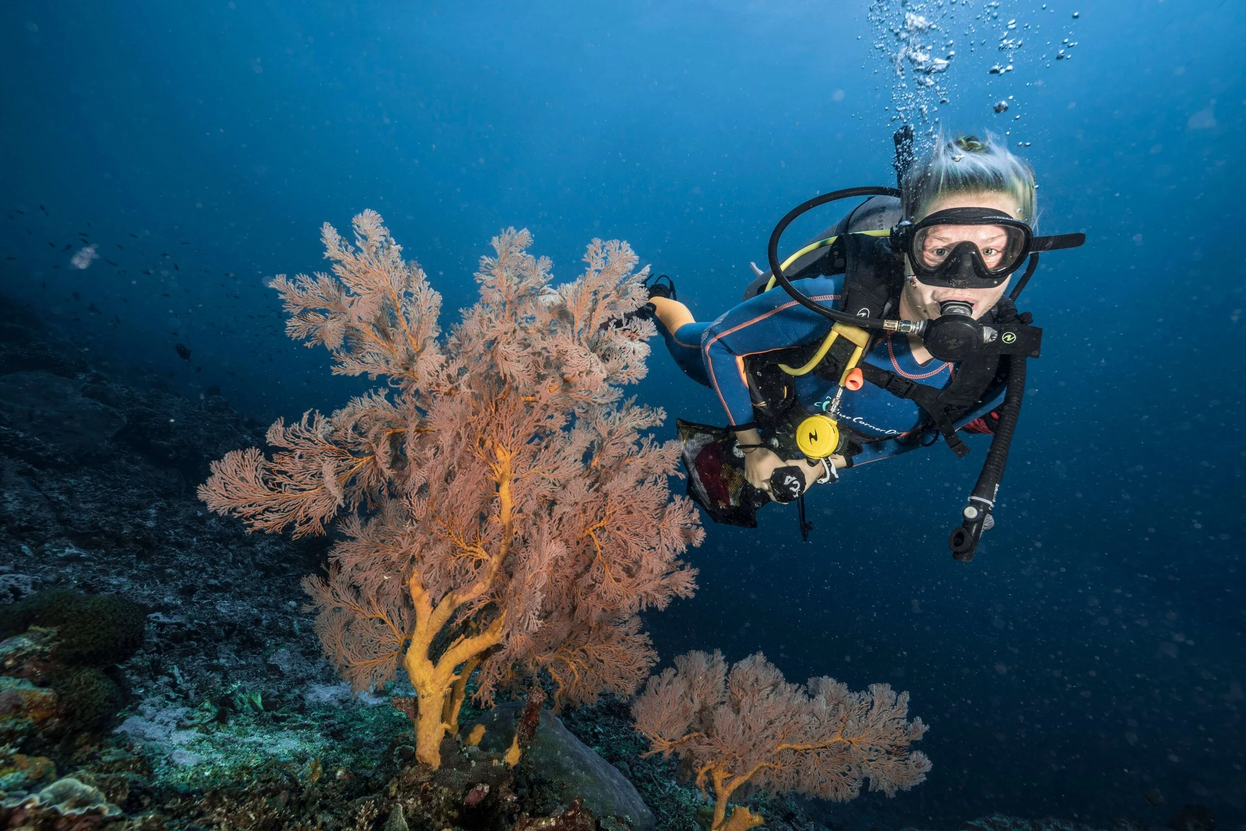 PADI Instructor Development: The Pros and Cons of Teaching Skills in ...