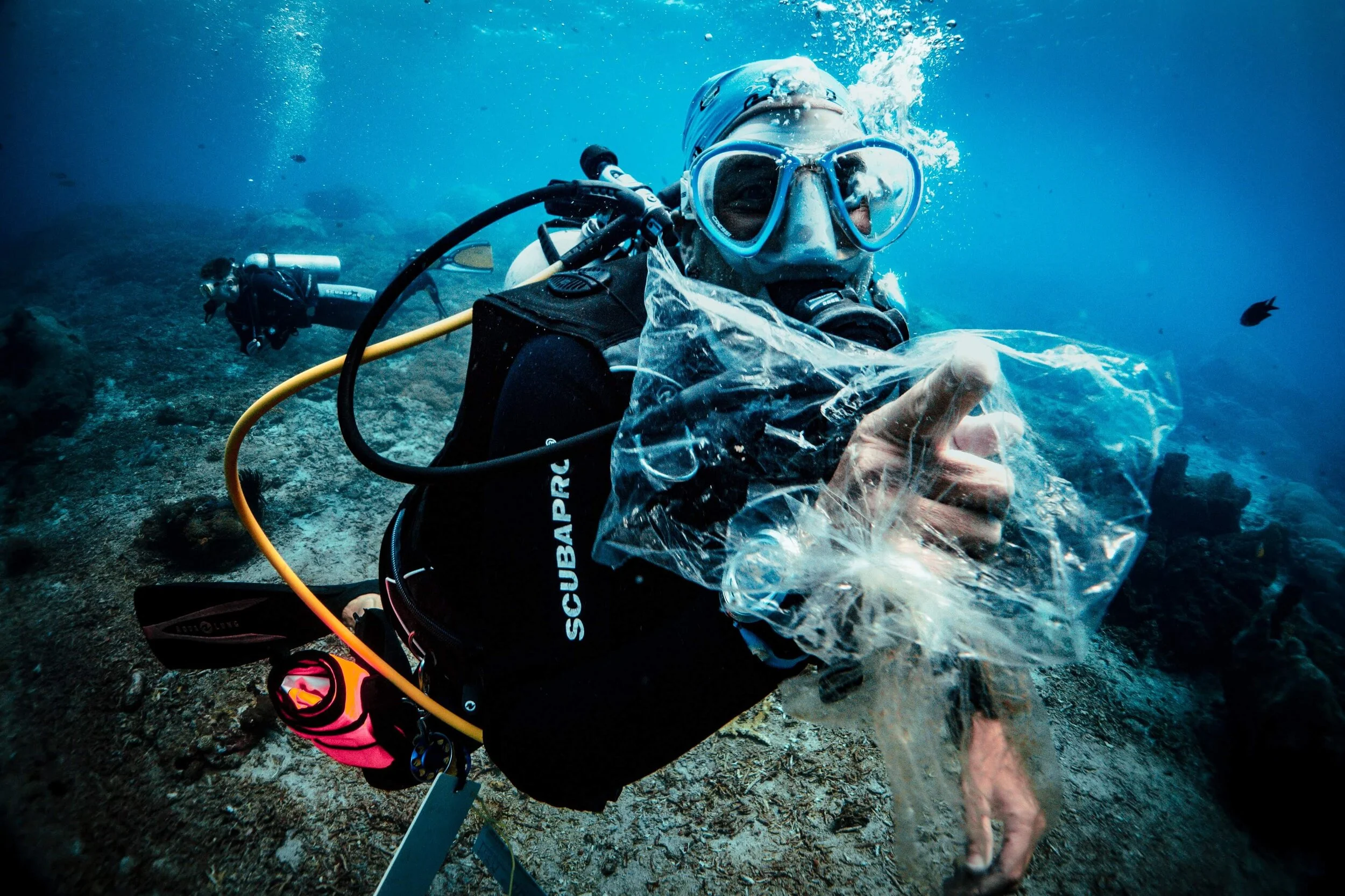 How to Dive like a conservationist from Blue Corner Dive Lembongan ...