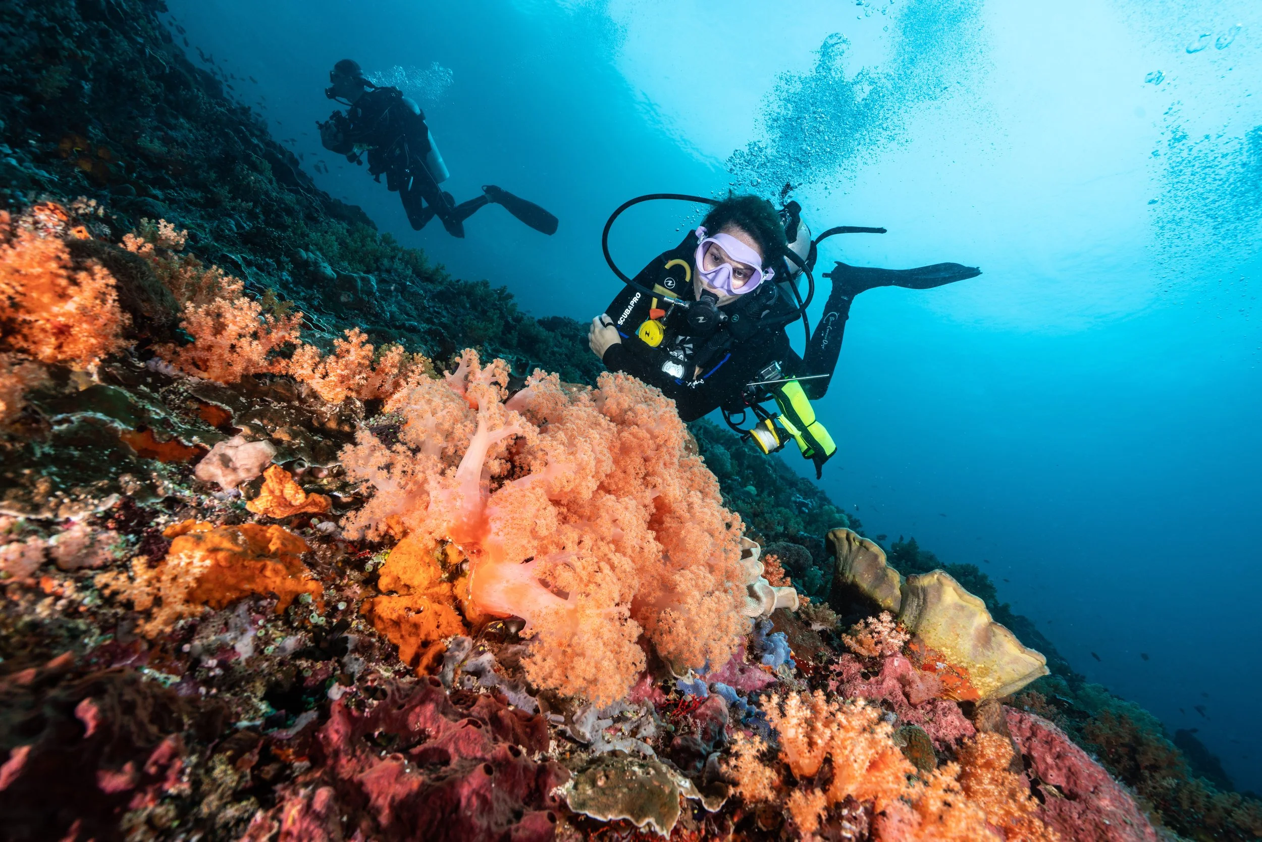 PADI Divemaster | Nusa Lembongan, Bali — Blue Corner Dive | Freediving ...