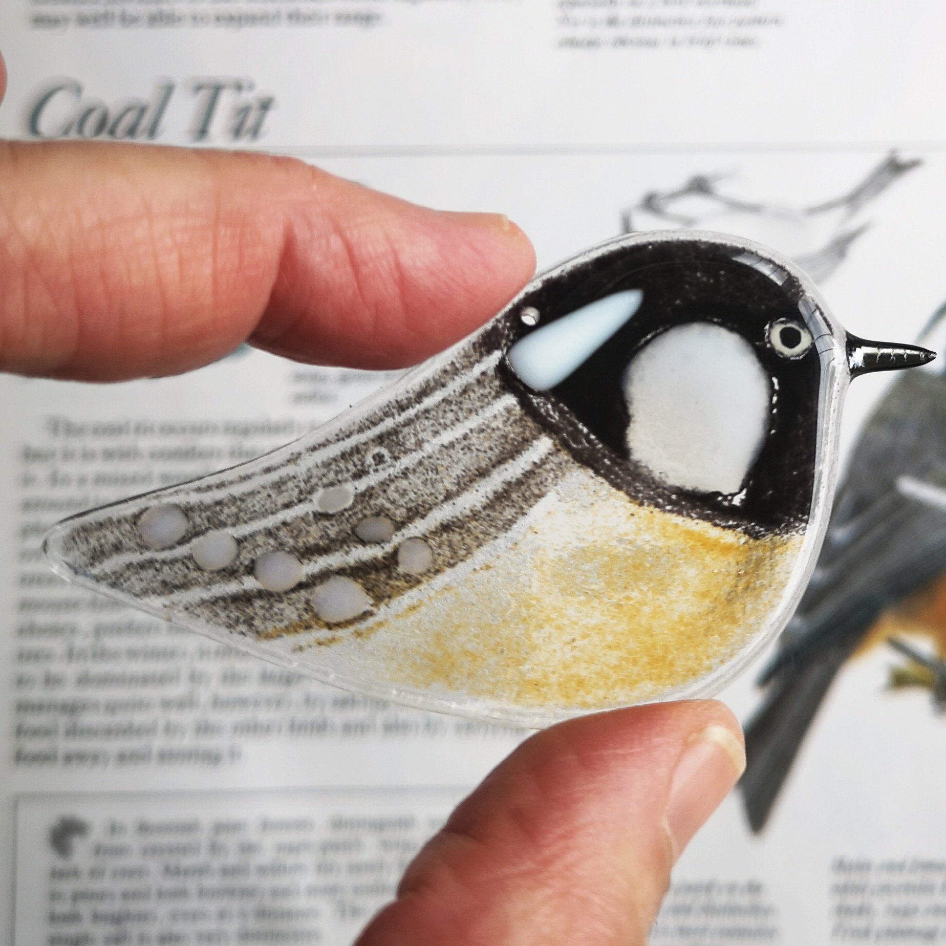 A delightful fused glass coal-tit hanging decoration — Robyn Coetzee ...