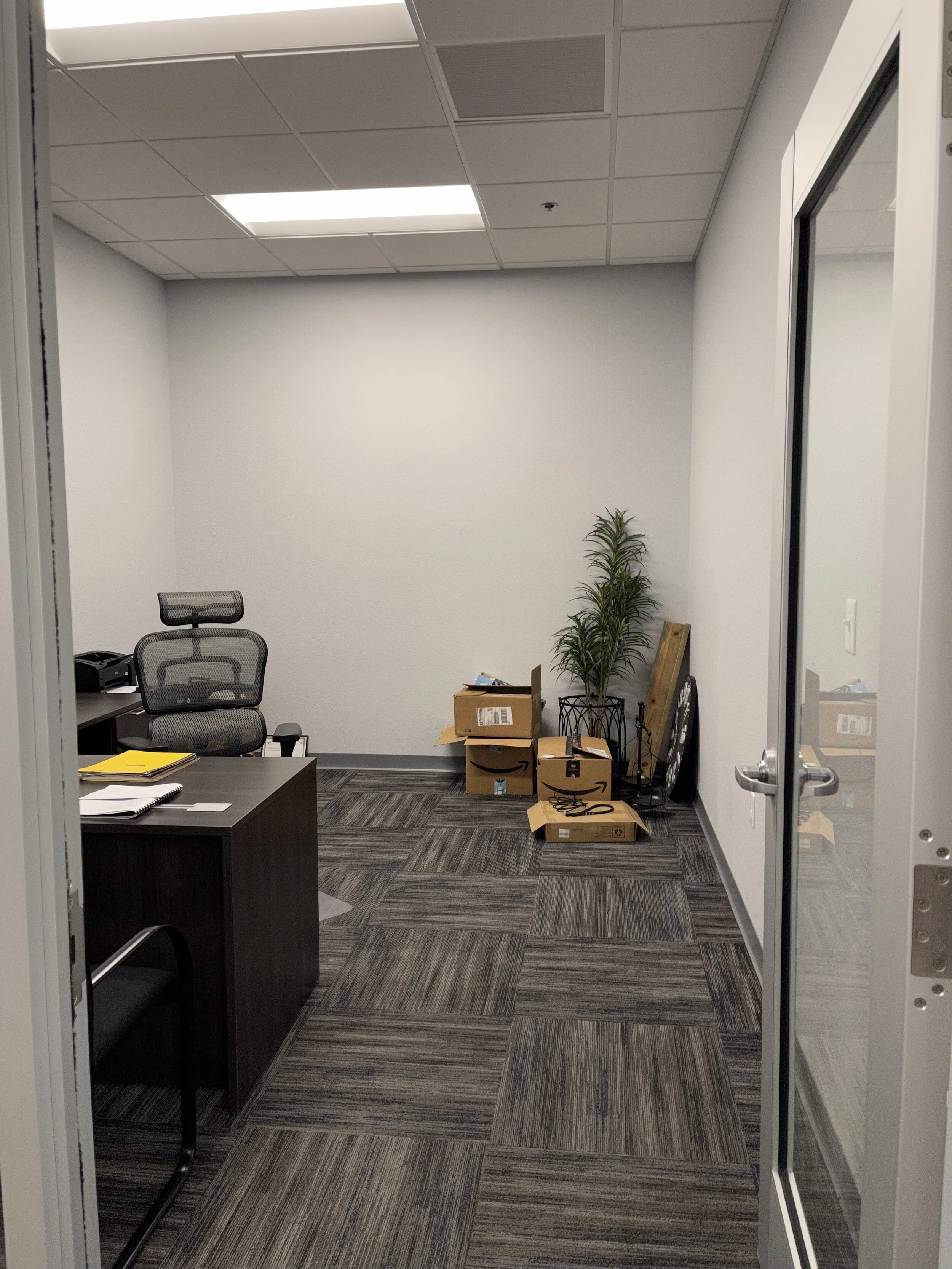 Commercial Office Revamp — A Fresh Coat