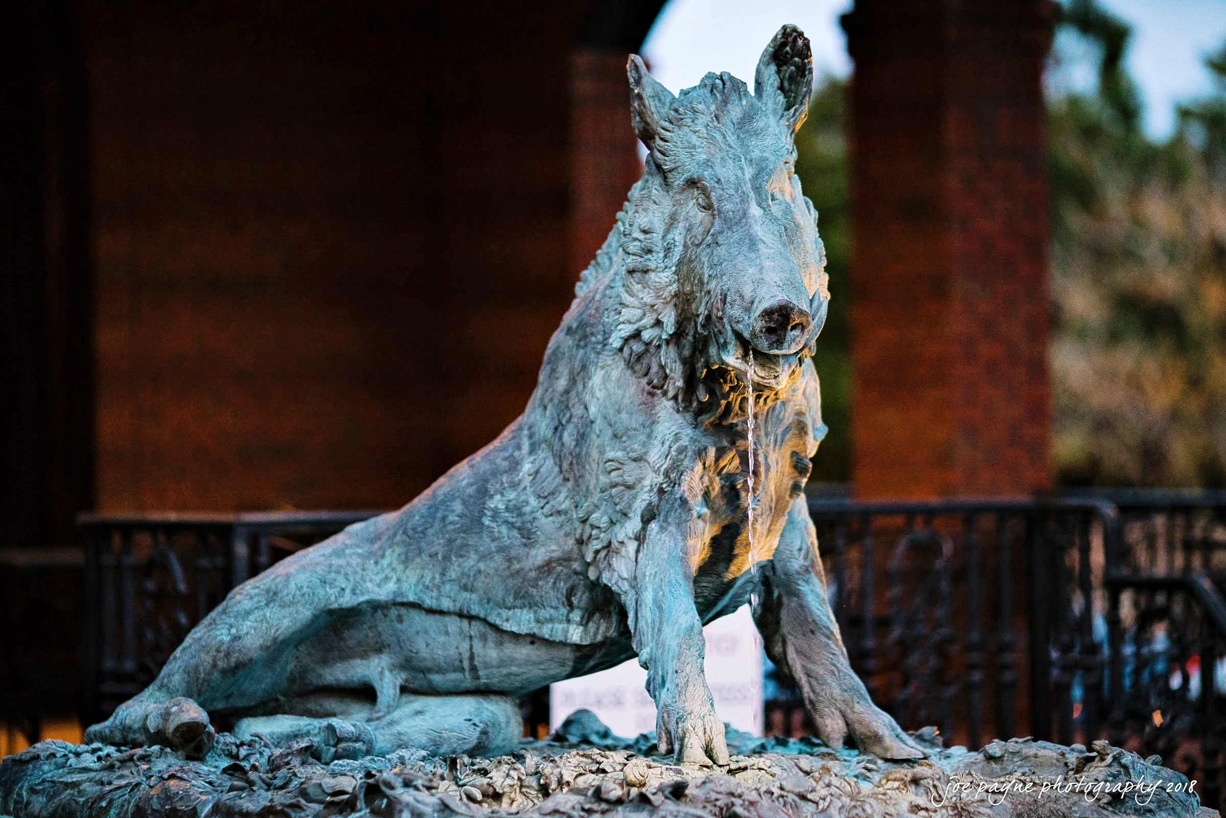 Mad Boar Restaurant & Pub