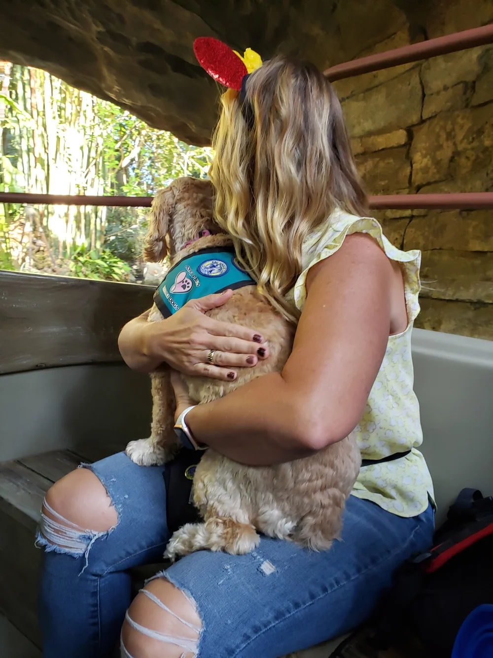 Types of Service Dogs — Joyful Paws Service Dogs