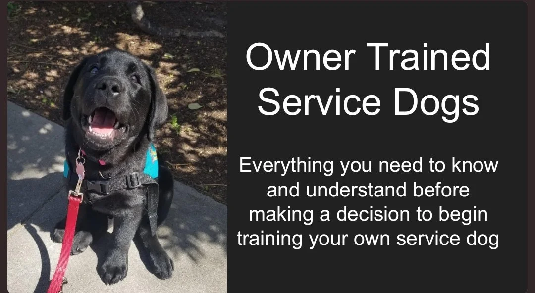 Joyful Paws Service Dogs