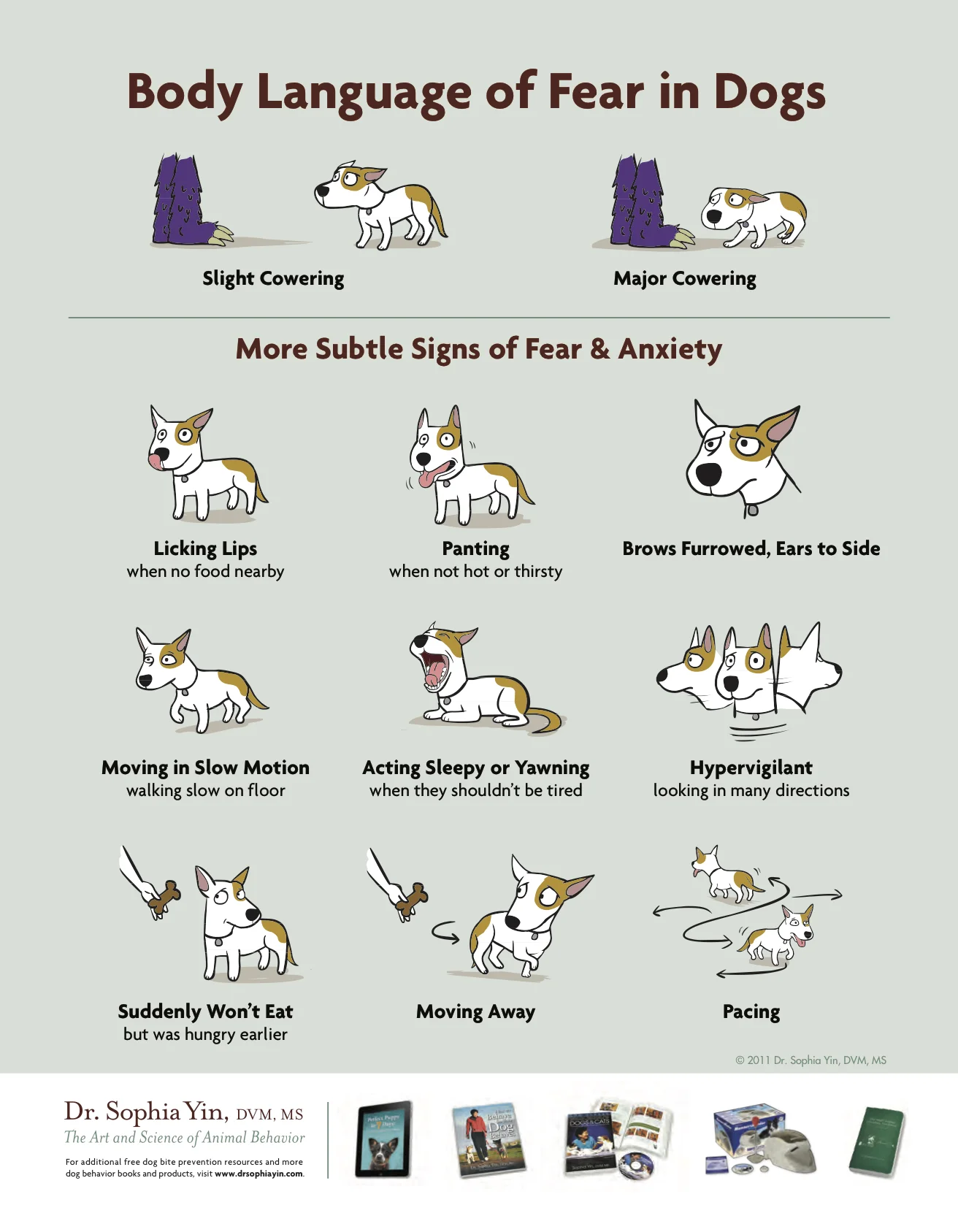 Body Language Pets And People In Harmony Body Language Pets And People In Harmony
