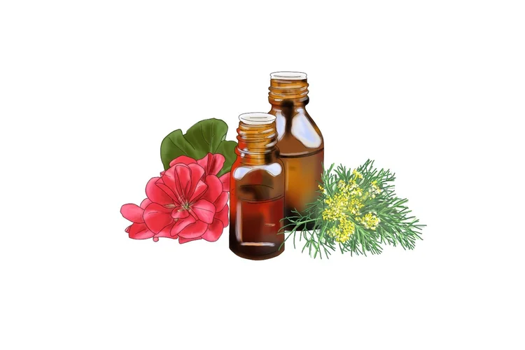Key Ingredients — DPR SKN