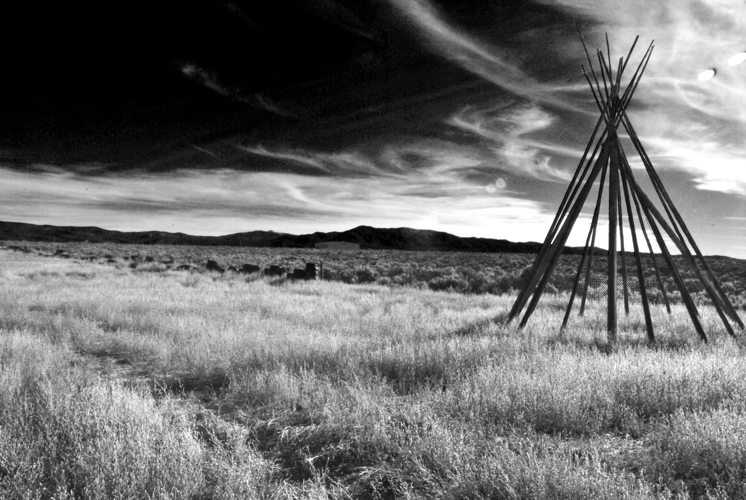 erin sherbert creative