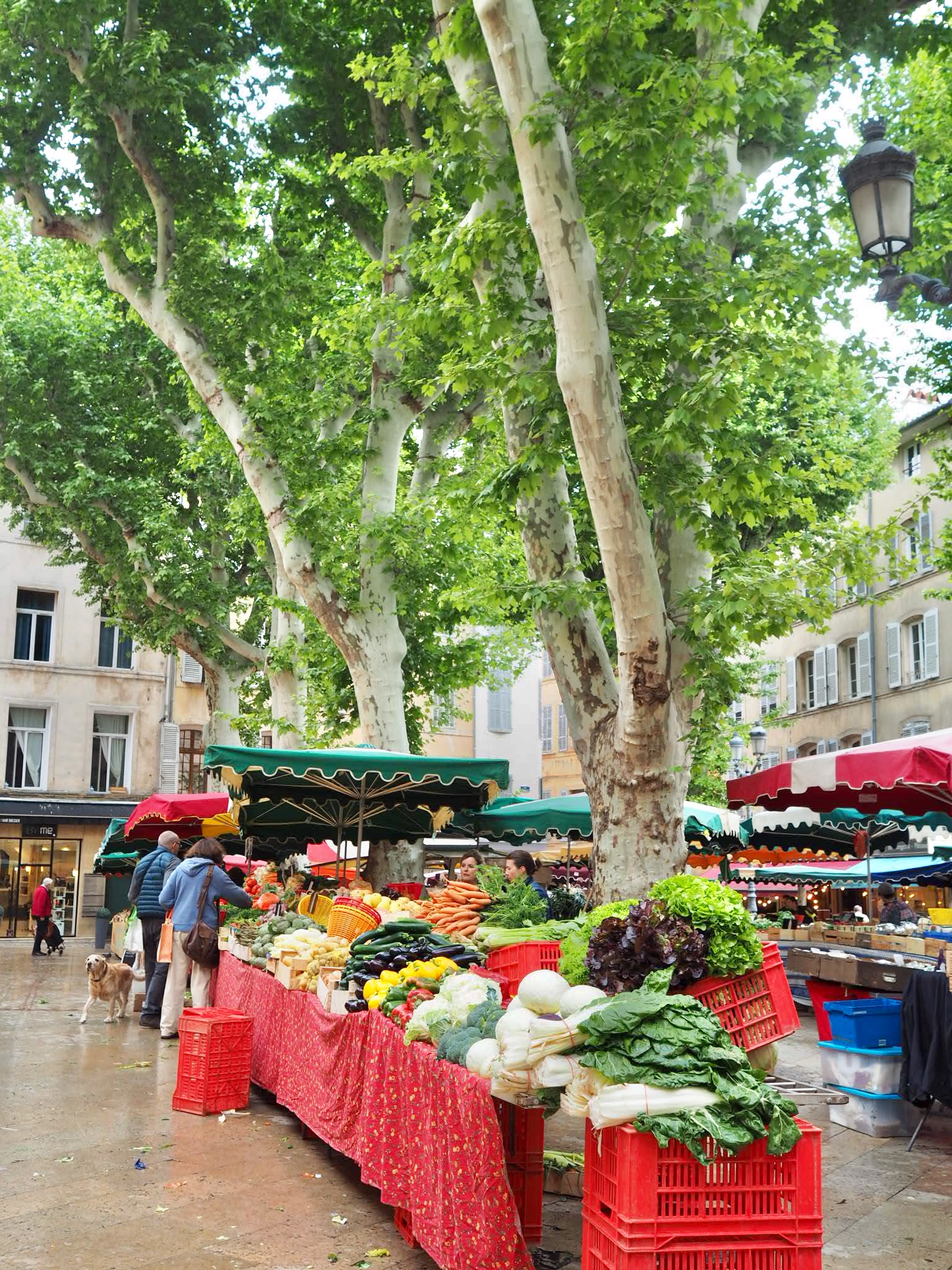 How To Spend A Perfect Day In Aix-en-Provence — Lauren Natalia