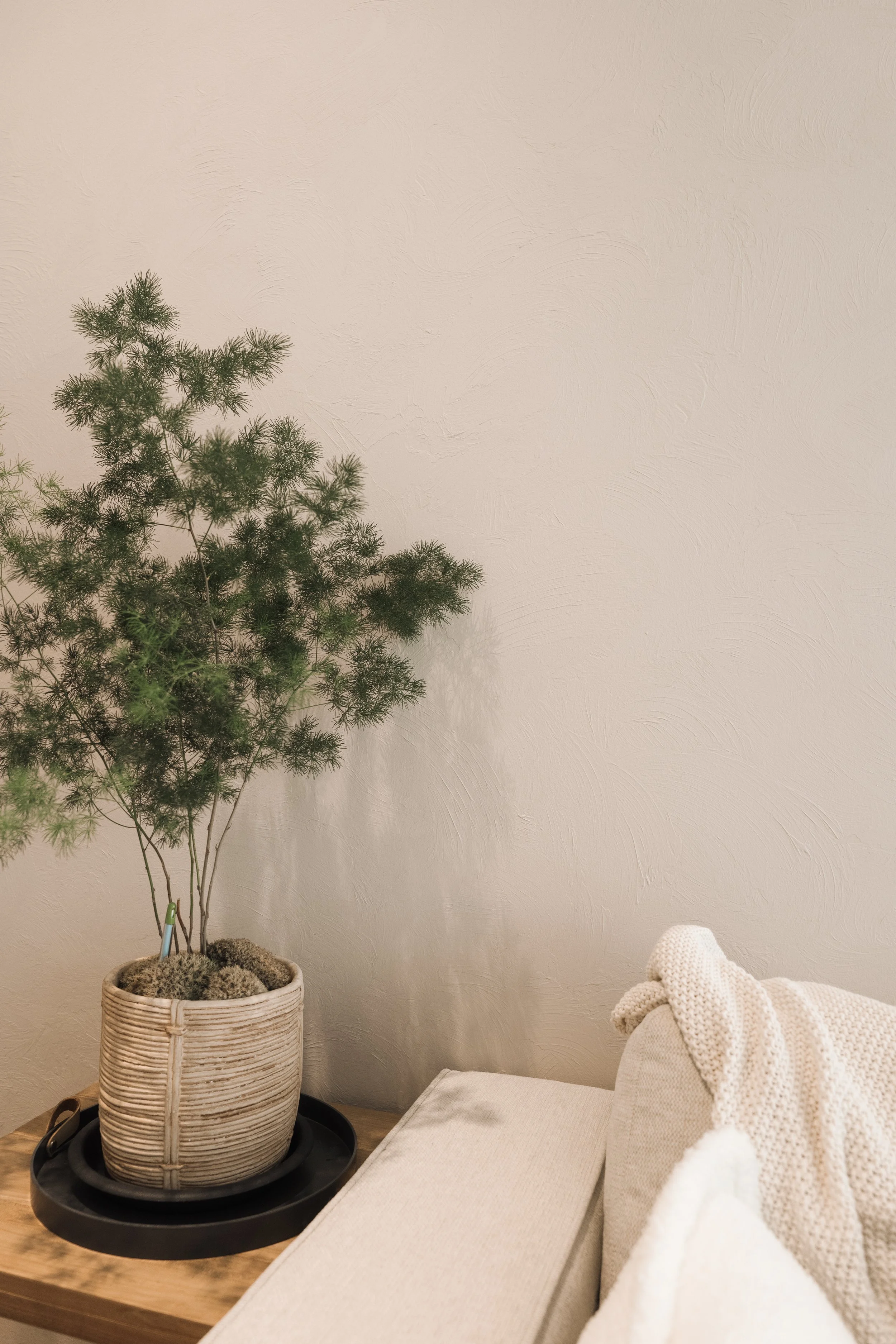 SOFT BEIGE HOME — BuildBuilt