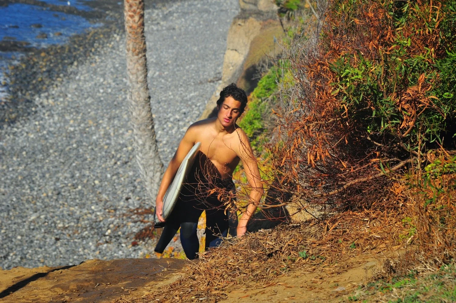 Bio/Host — Adam Valen Levinson