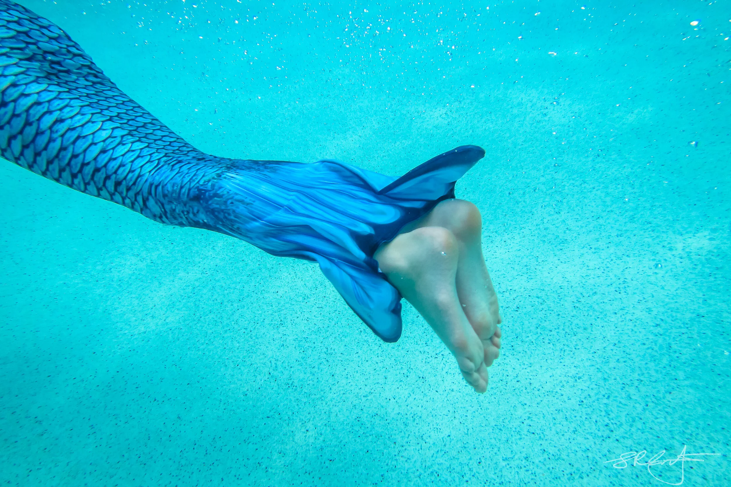 2020 Wonder Gardens — Steve Coffin Photos