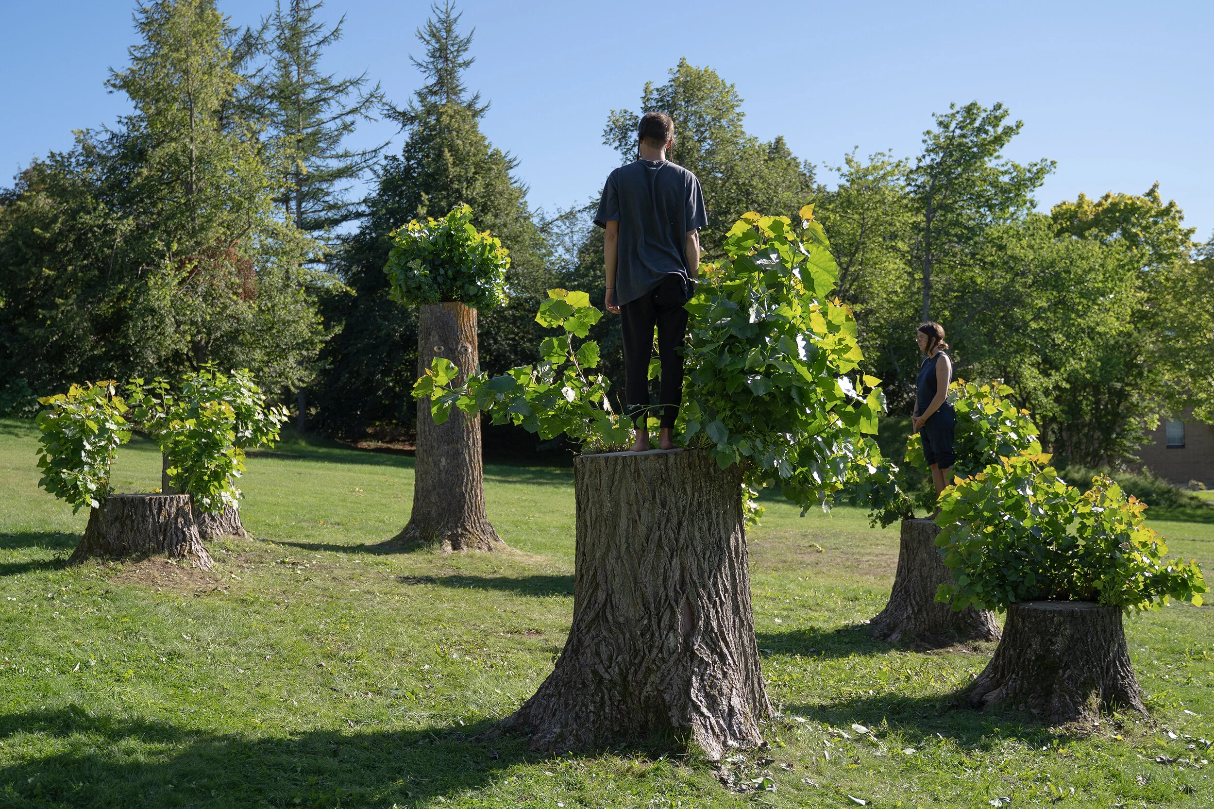 Nonhuman Nonsense / Tale of a Tree Human