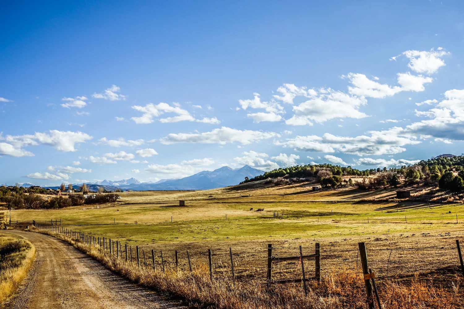 Contact Us — SynTech Bioenergy