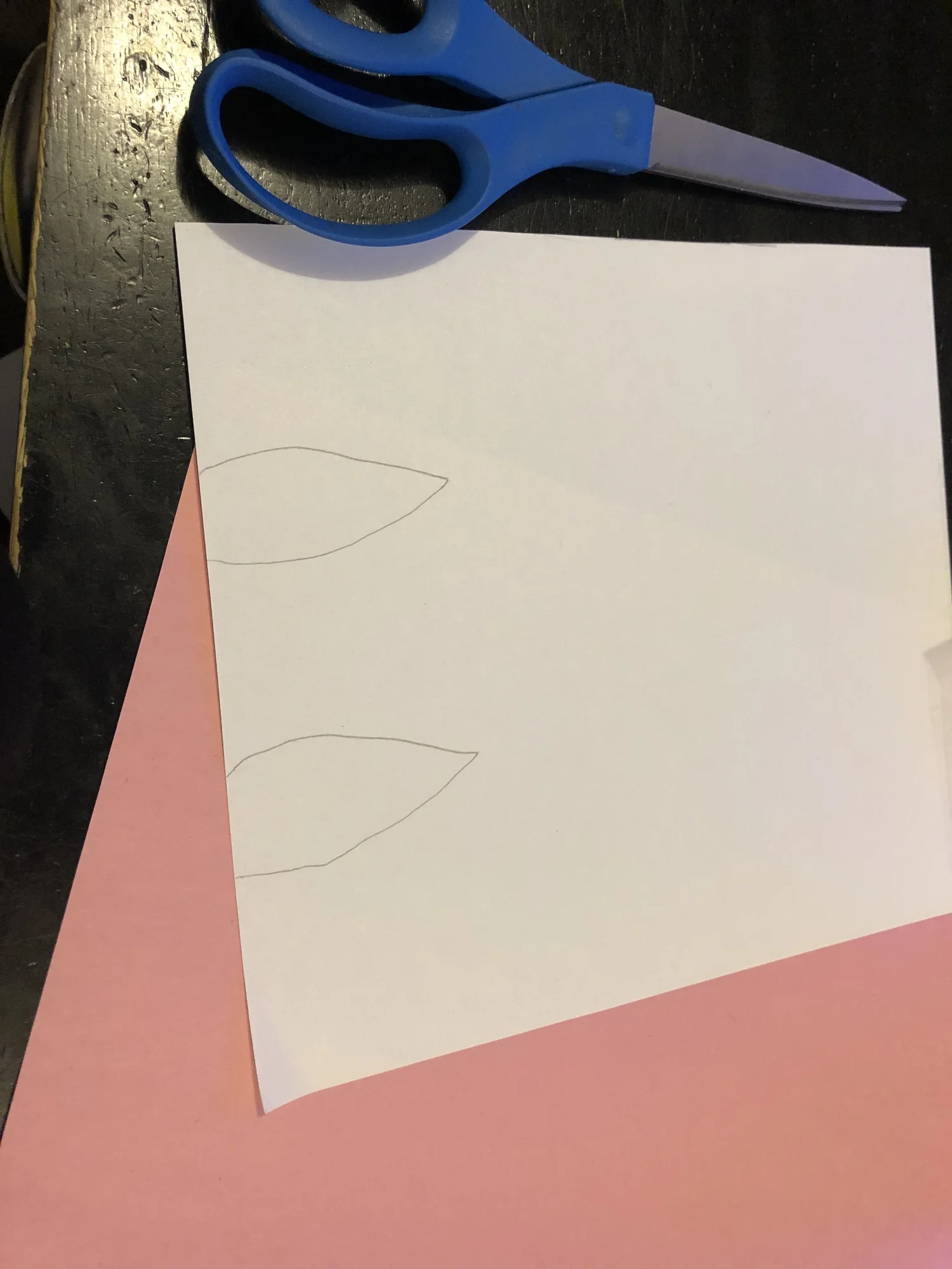 Super Fun Easter Bunny Toilet Roll Craft — The Multitasking Mom