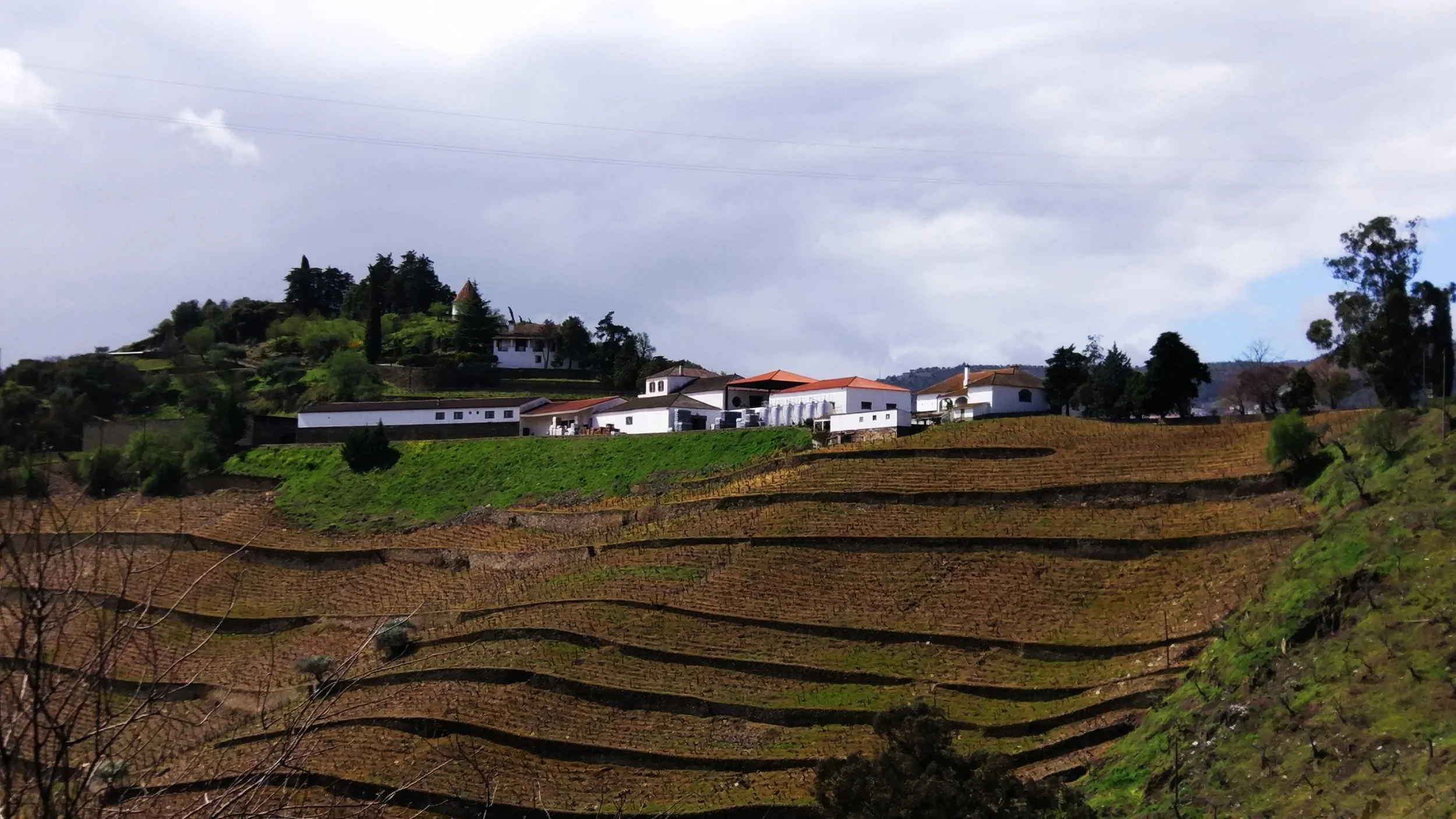 A Guide to the Douro Wine Valley in Portugal — Traverse Journeys ...