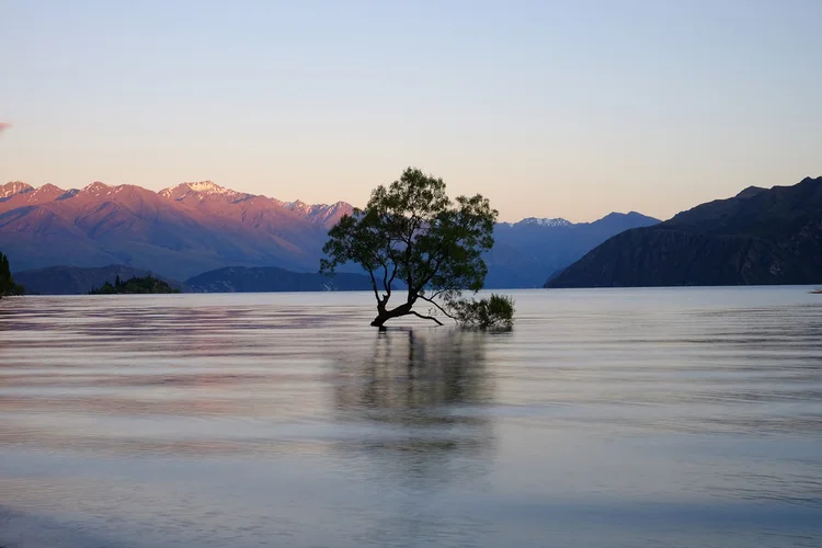 10 Must-See Spots For Nature Lovers in New Zealand — Traverse Journeys ...