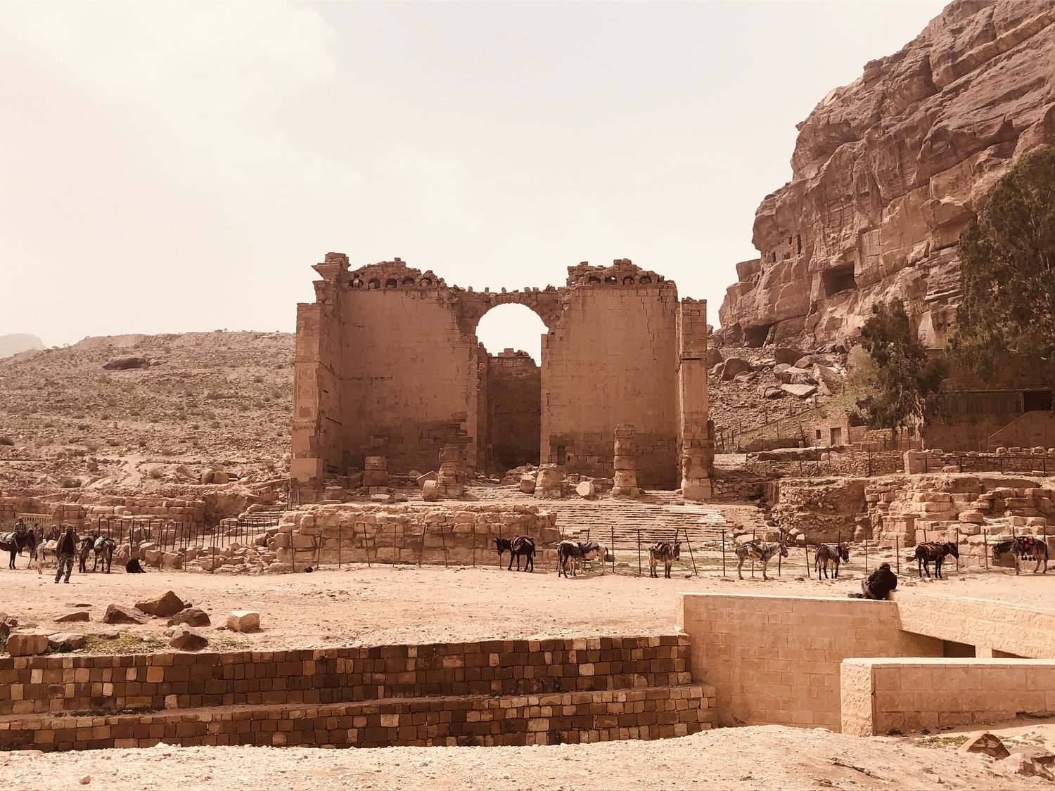 Taste & Trails of Jordan — Traverse Journeys - Travel That Transforms