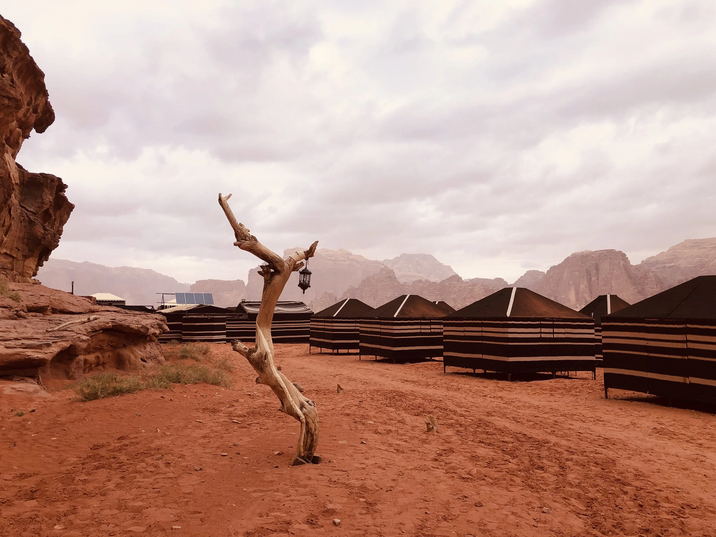 Jordan Small Group Tour — Traverse Journeys - Travel with Meaning