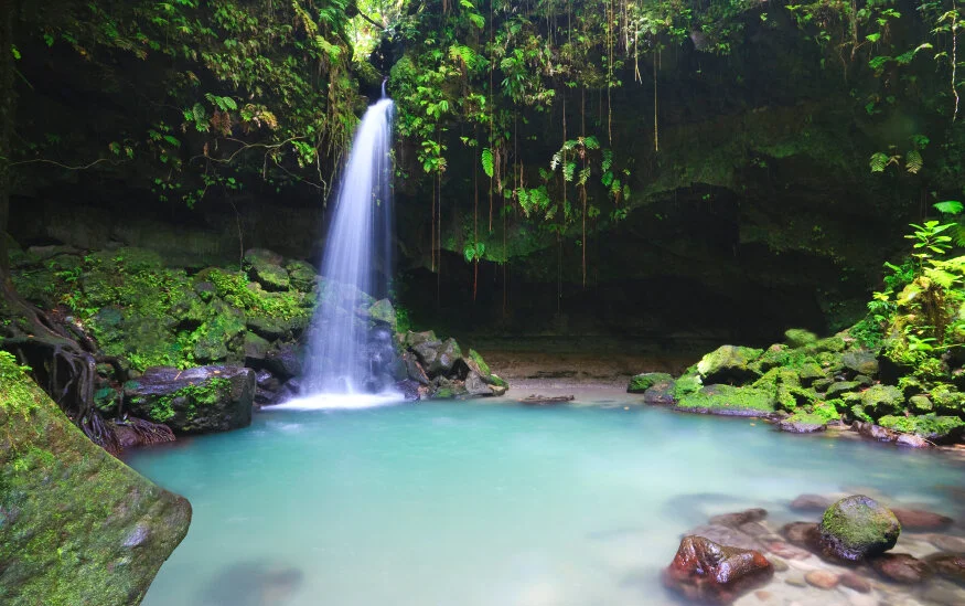 Dominica Retreat — Traverse Journeys - Travel That Transforms