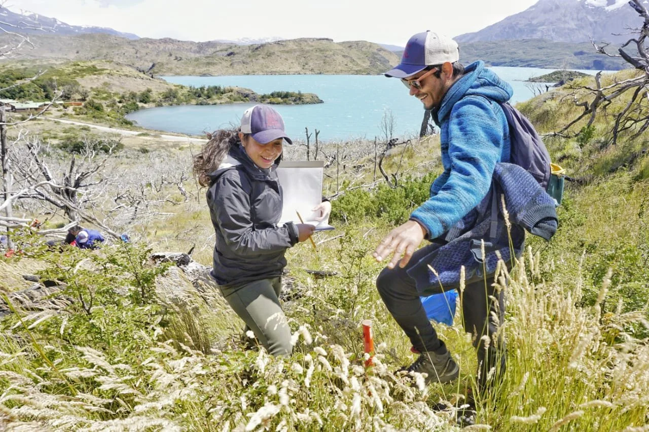 five NGOS in Latin America that we love to support — Traverse Journeys ...