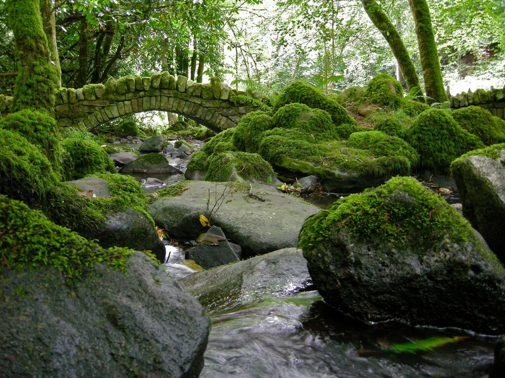 Self-Drive Ireland's Wild Atlantic Way — Traverse Journeys - Travel ...