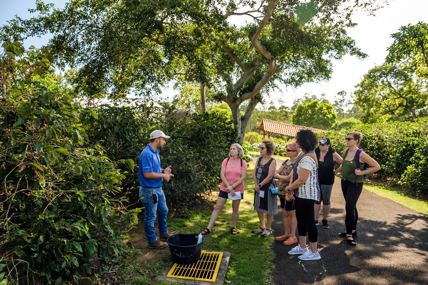 The difference between group tours, self-guided tours, and custom tour ...