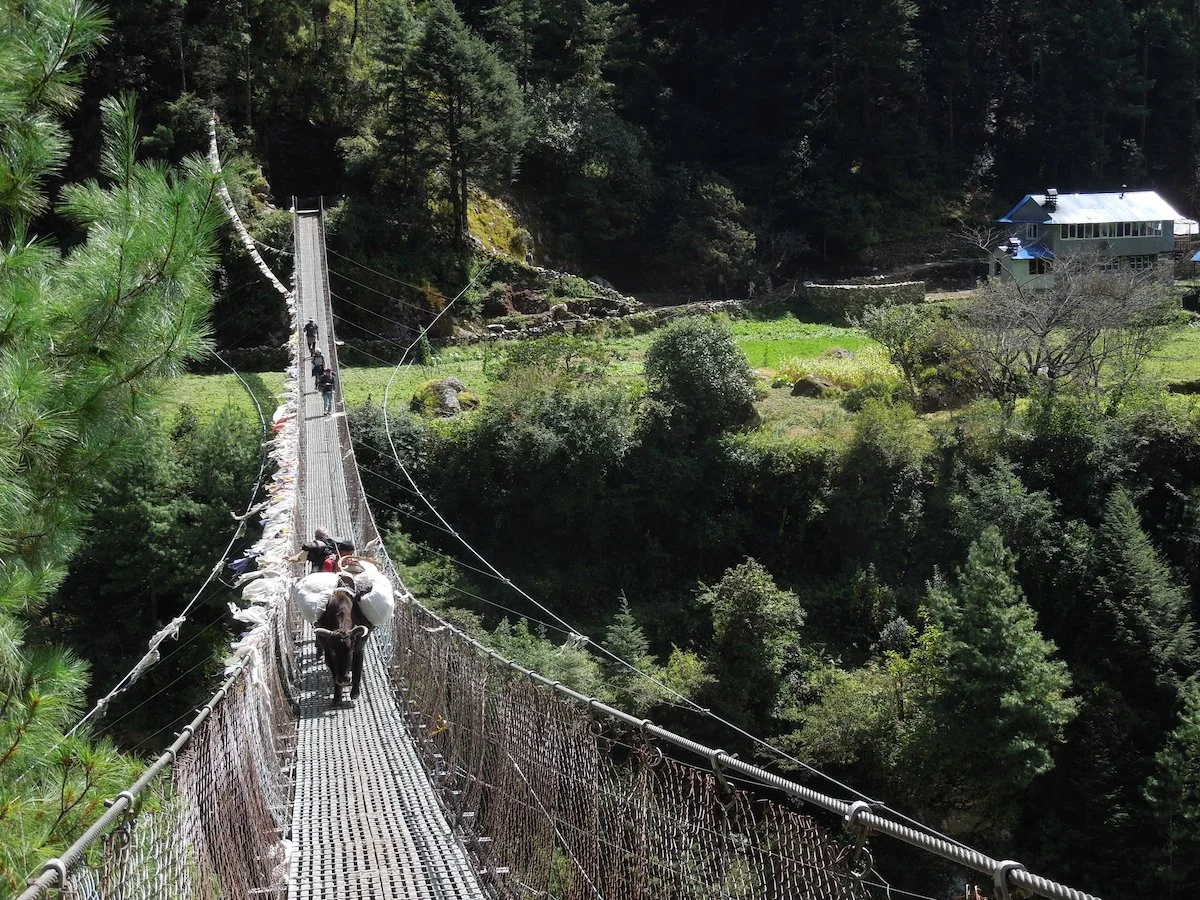 15-day Everest Base Camp Trek — Traverse Journeys - Travel That Transforms