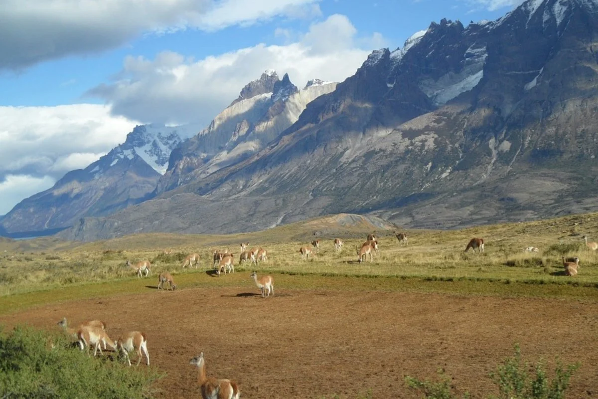 15 Incredible Ecotourism Activities Around the World — Traverse ...