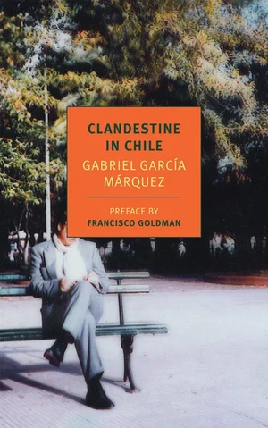 Books for the Road: Chile — Traverse Journeys - Travel That Transforms