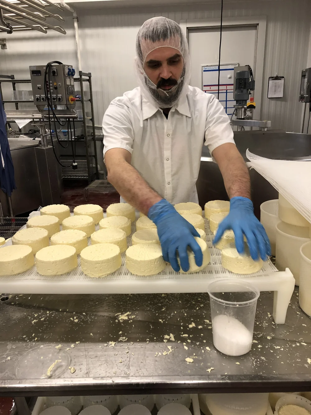 Great quality grass-fed milk is the key to Alemar's award-winning ...