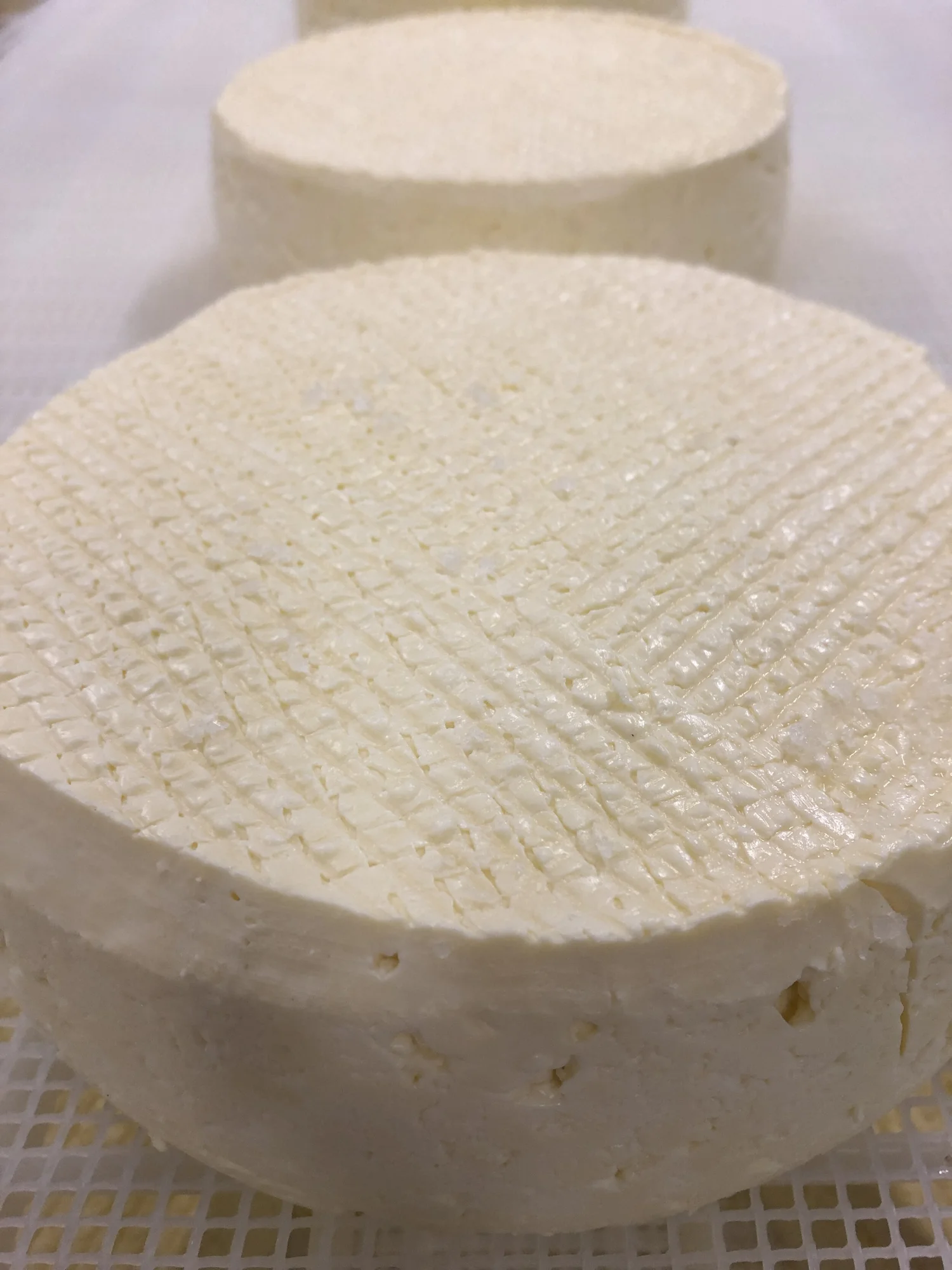 Great quality grass-fed milk is the key to Alemar's award-winning ...