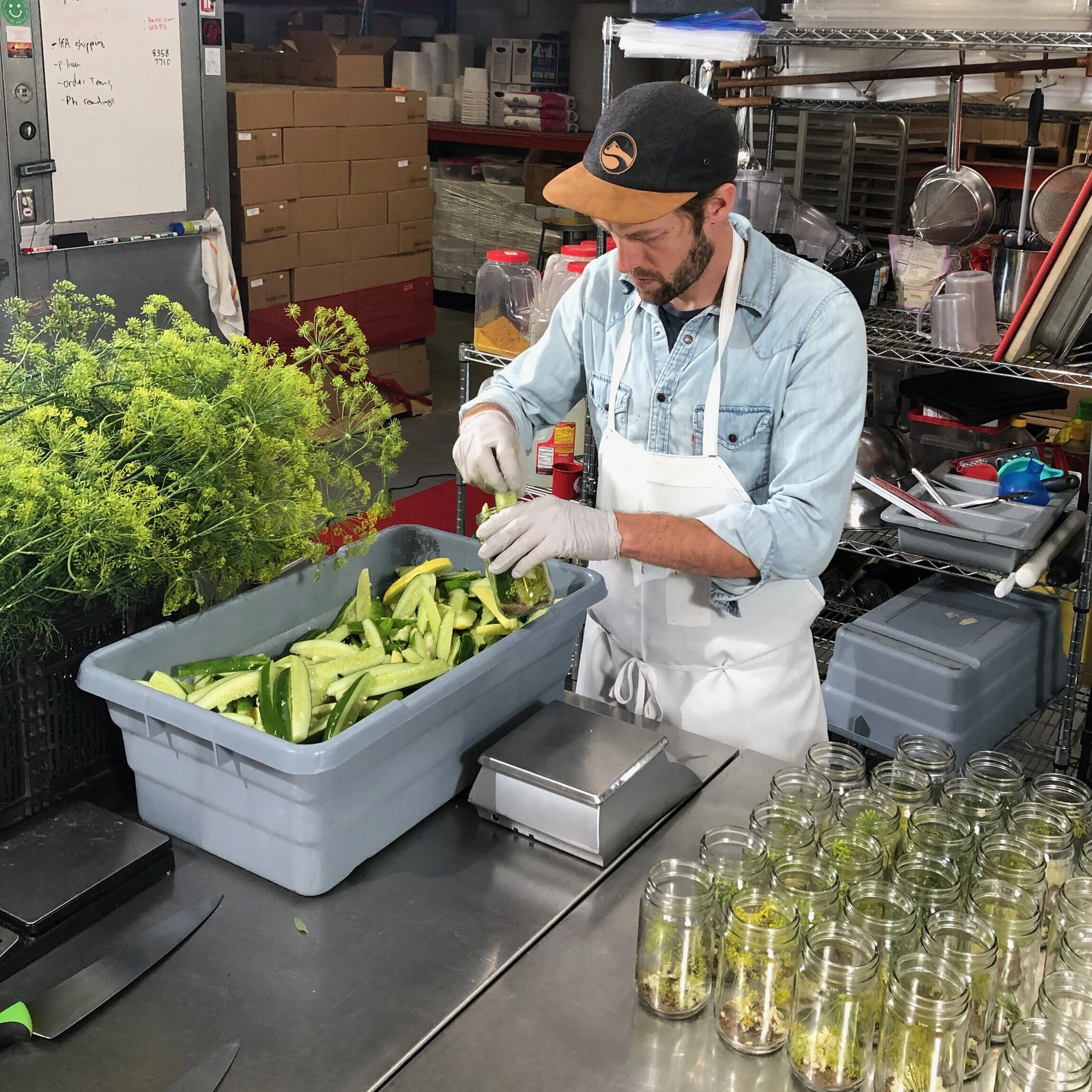 Season Two — tasteMAKERS