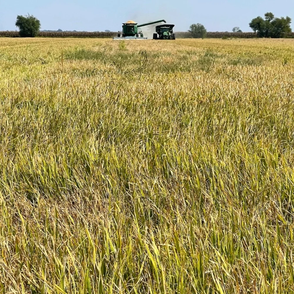 Season Four — tasteMAKERS