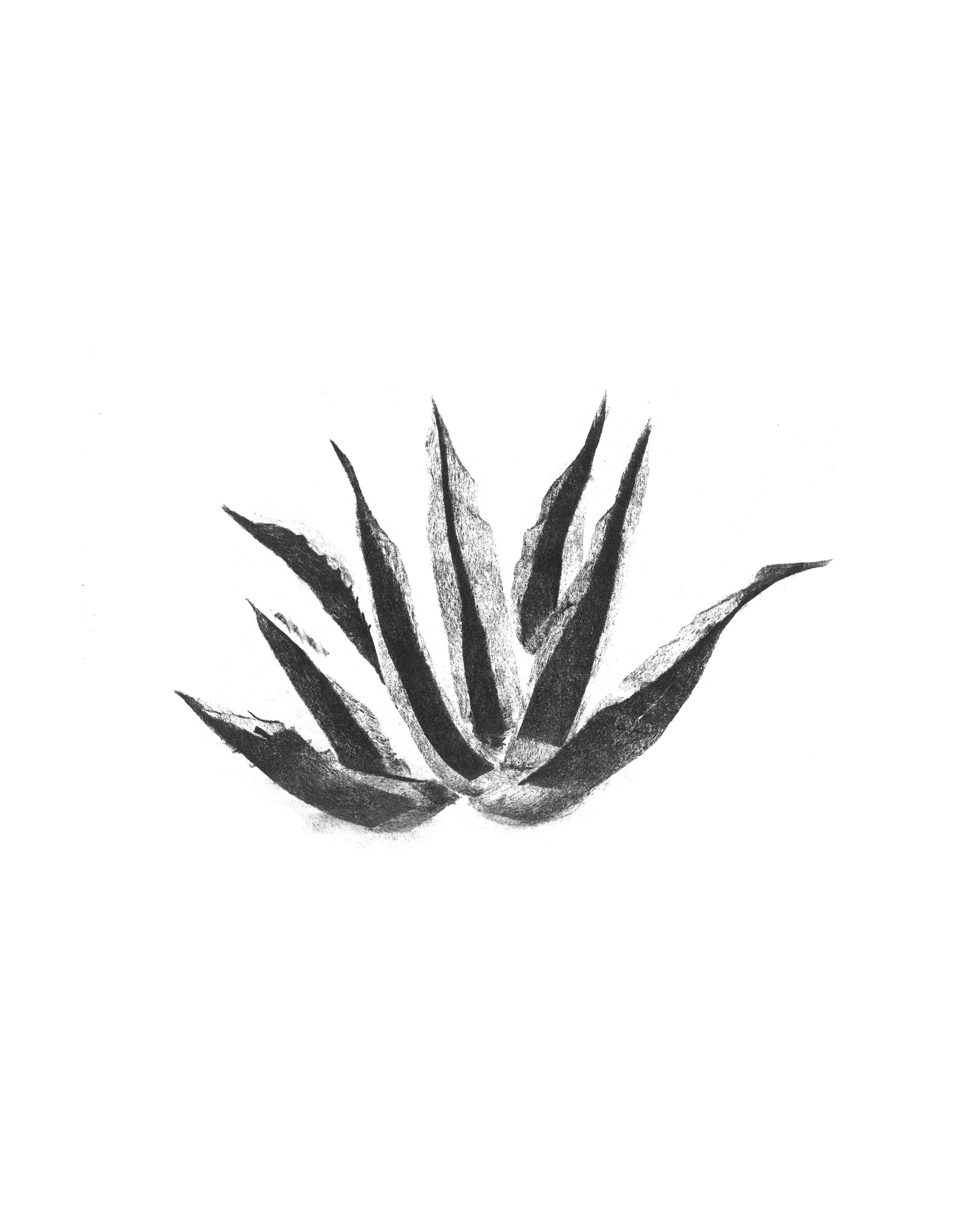 Agave Plant Tattoo