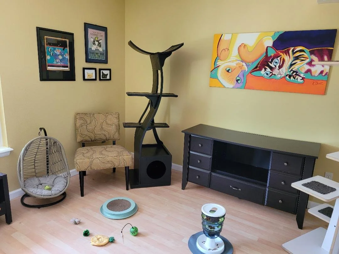 Adoptable Cats — Rescued for Life