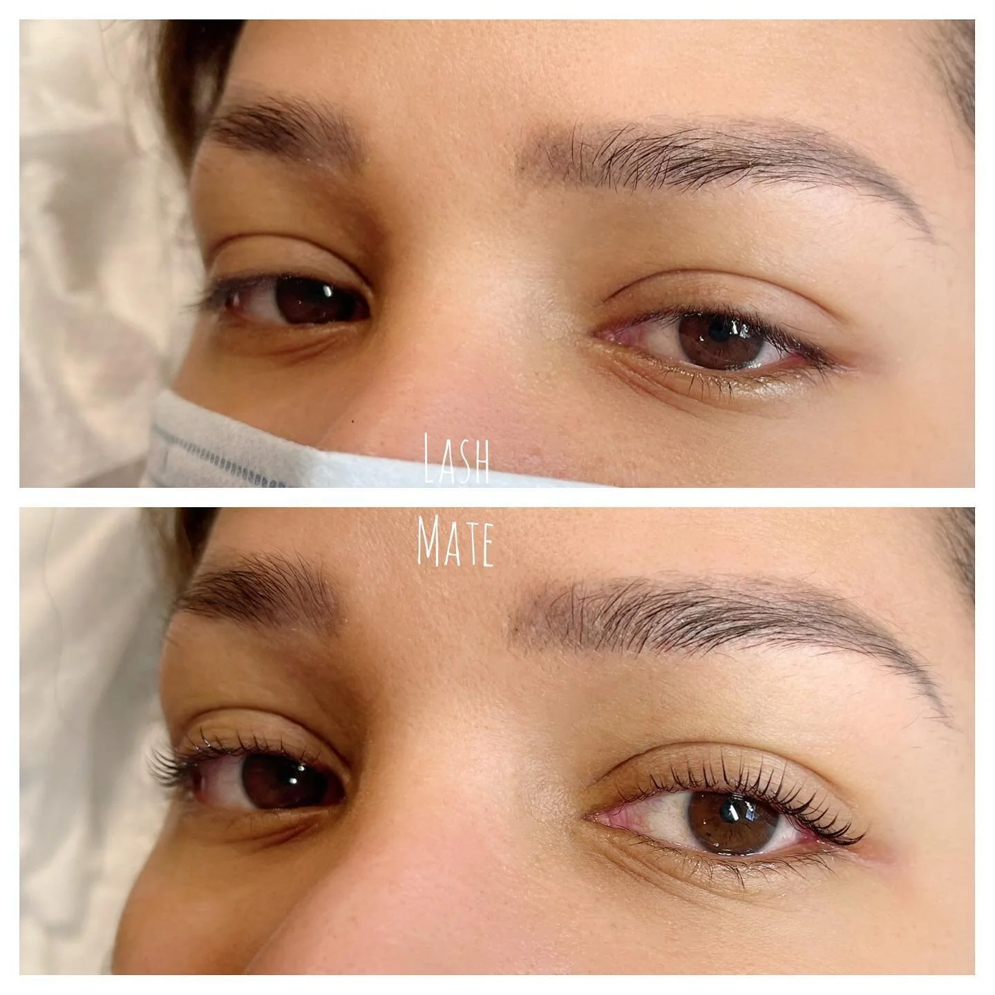 Gallery — Lash Mate