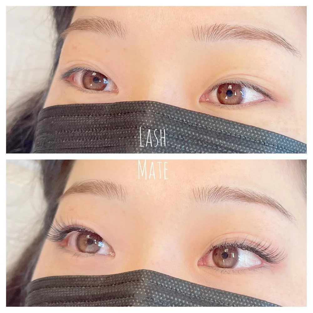 Gallery — Lash Mate