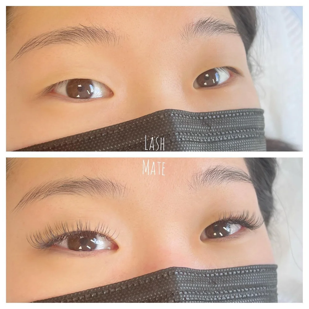 Gallery — Lash Mate