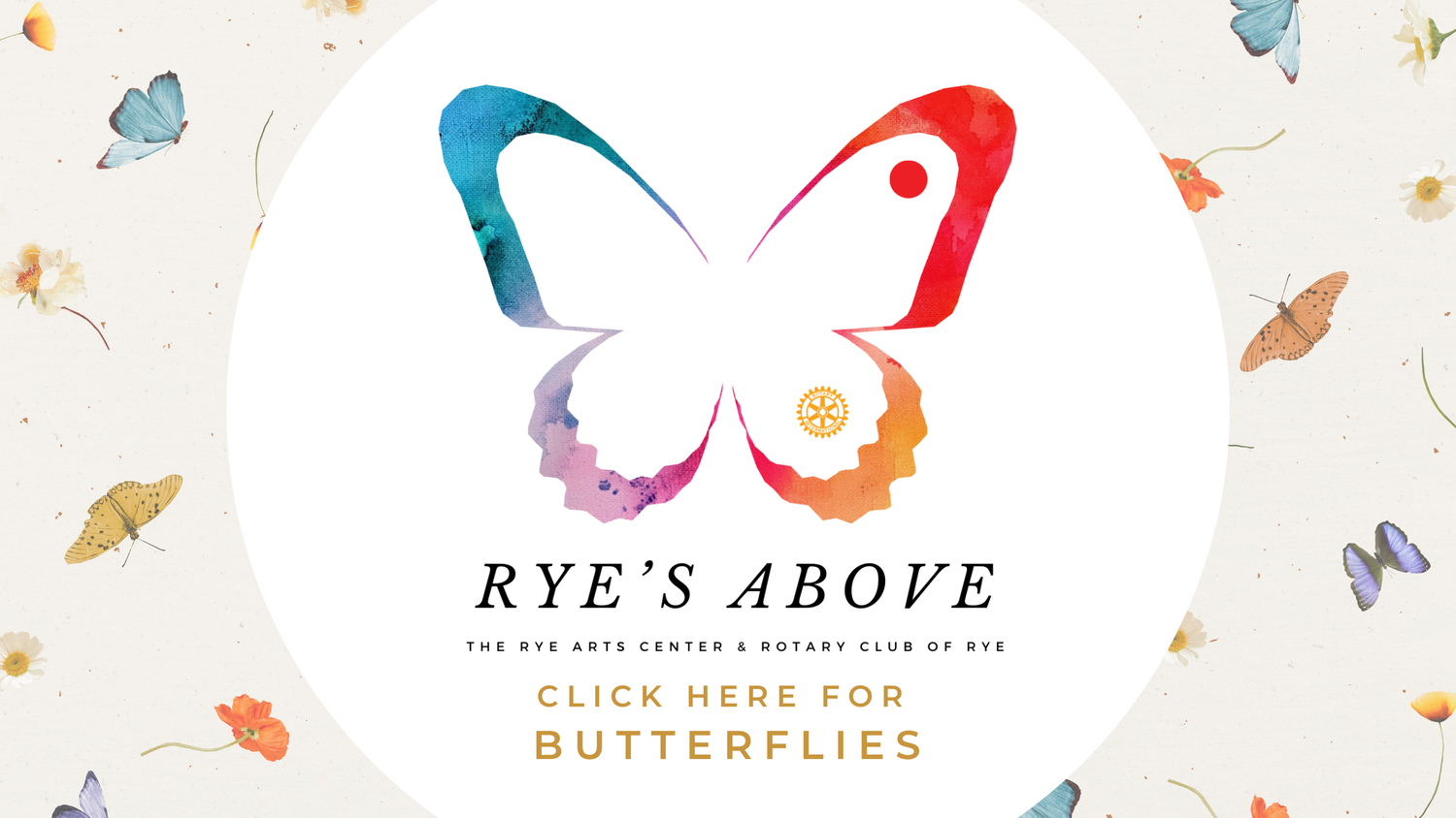 The Rye Arts Center | Art - S.T.E.A.M - Music - Dance + More