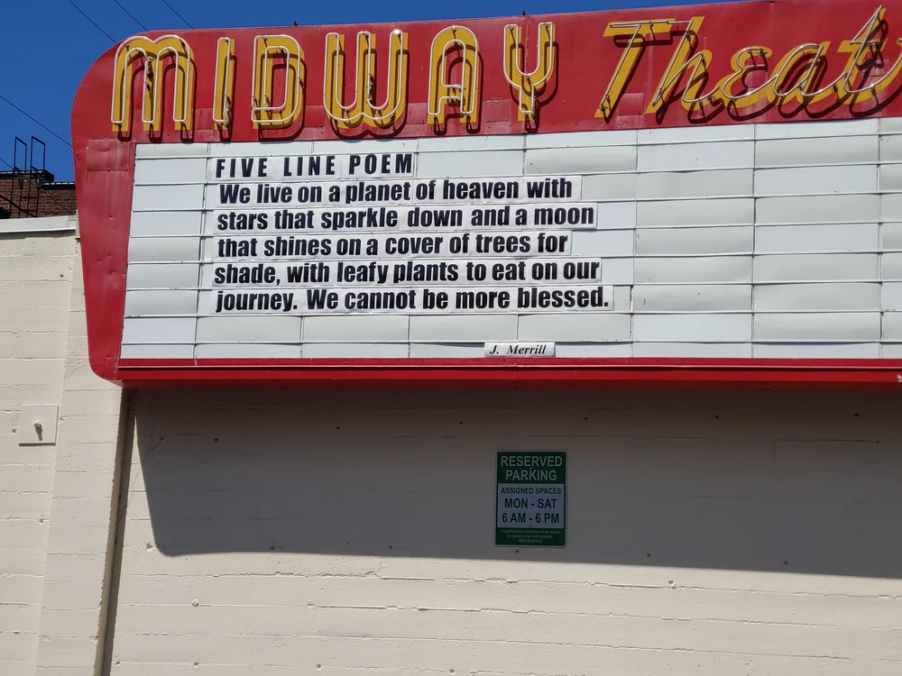 Let's all go to the Drive-in — Albany Regional Museum