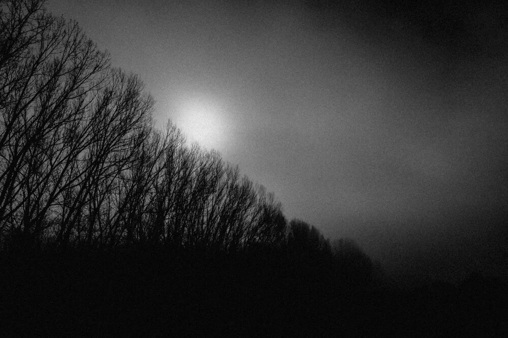 See through the fog: how to find contrast in foggy conditions — aows