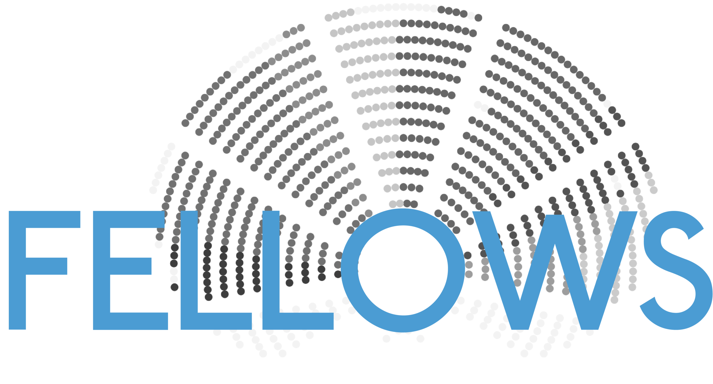 Fellows Overview — Institute of Politics | The University of North ...